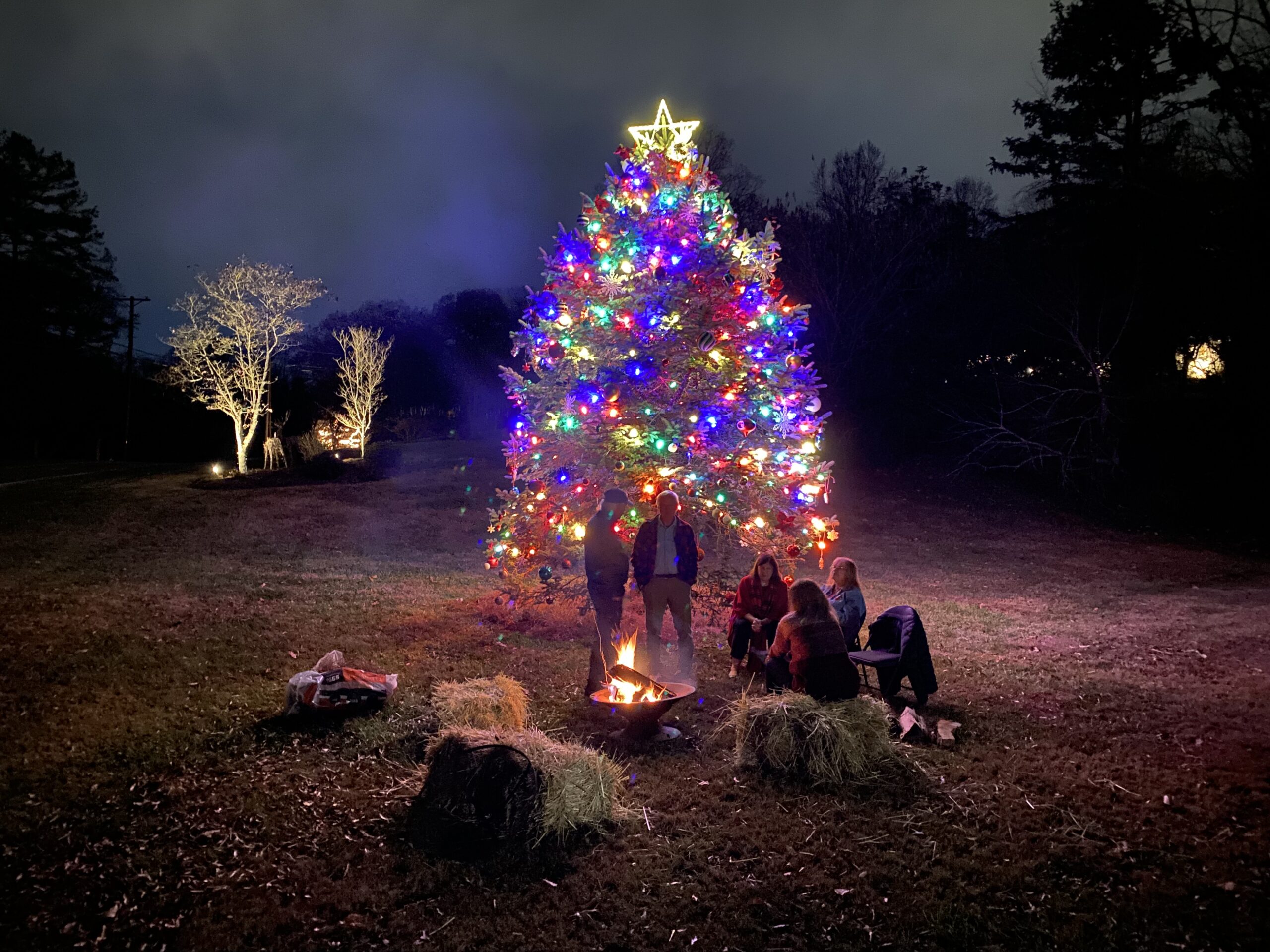 Community Christmas Tree Lighting on Dec 7th